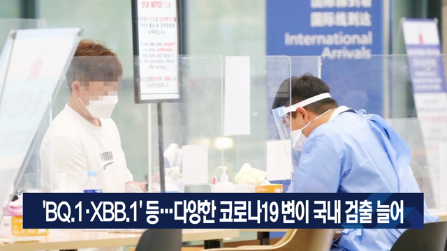 ‘BQ.1·XBB.1’ 등…다양한 코로나19 변이 국내 검출 늘어