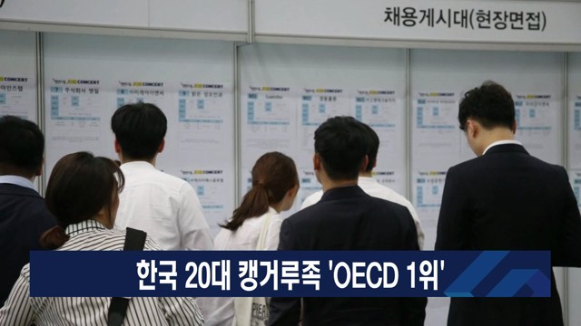 한국 20대 캥거루족 ‘OECD 1위’